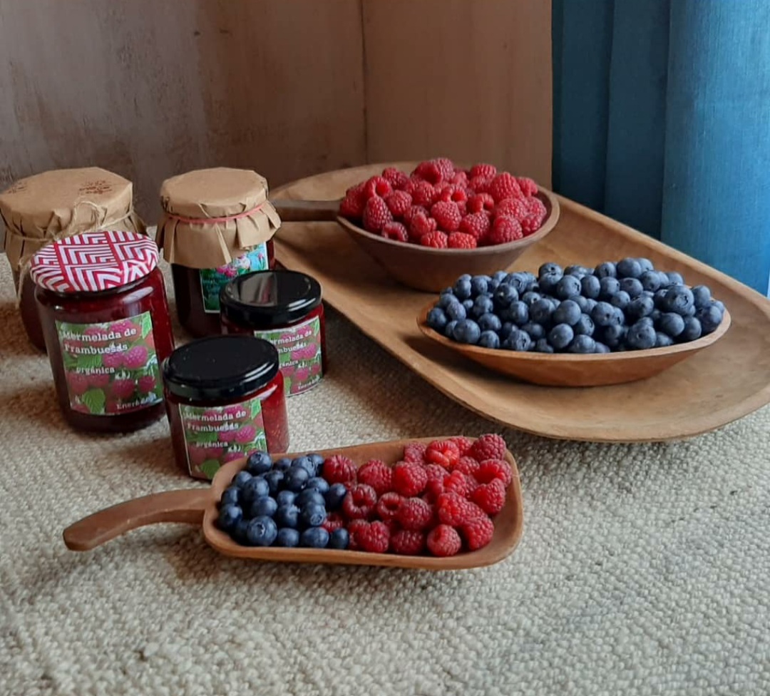 Fondo de Solidaridad e Inversión Social